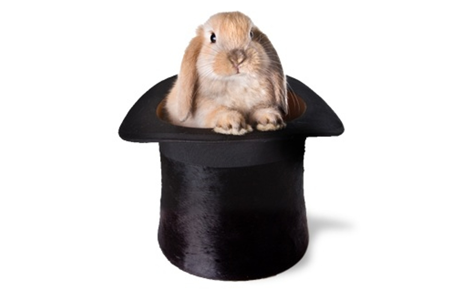 Goochelshow - De Feestmeesters